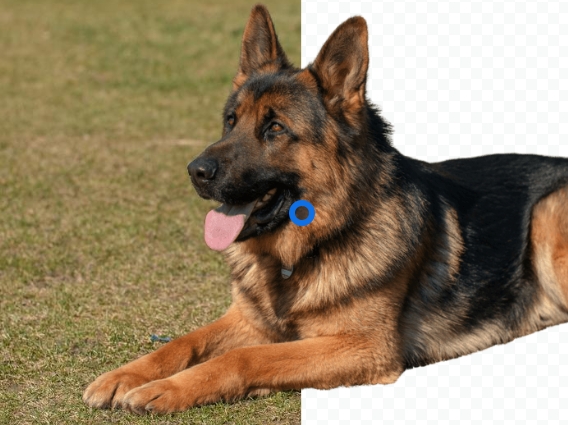 How to Remove Background in ComfyUI? | ComfyFlow (beta)